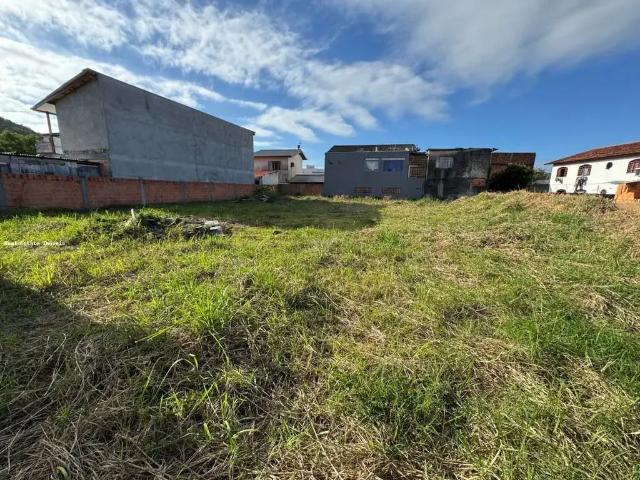 Terreno / Lote para Venda em Florianópolis/SC Canasvieiras
