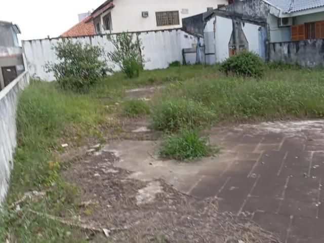 Terreno / Lote para Venda em Florianópolis/SC Canasvieiras