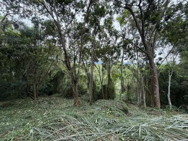 Terreno / Lote para Venda em Florianópolis/SC Canasvieiras