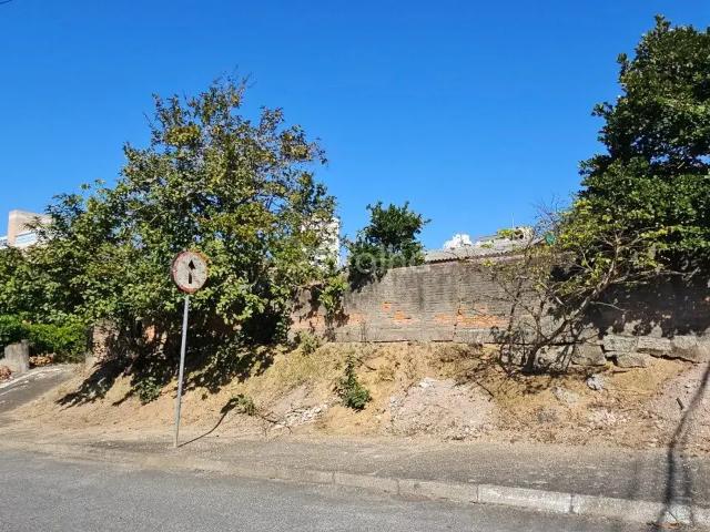 Terreno / Lote para Venda em Florianópolis/SC Canto