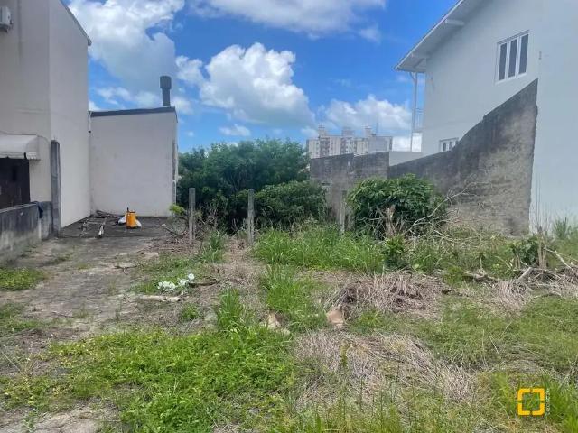Terreno / Lote para Venda em Florianópolis/SC Capoeiras