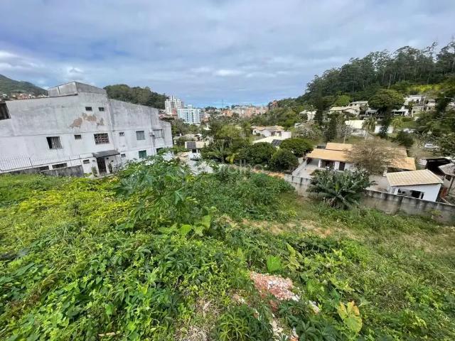 Terreno / Lote para Venda em Florianópolis/SC Carvoeira