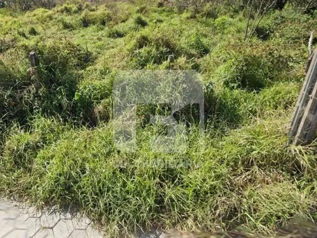 Terreno / Lote para Venda em Florianópolis/SC Açores