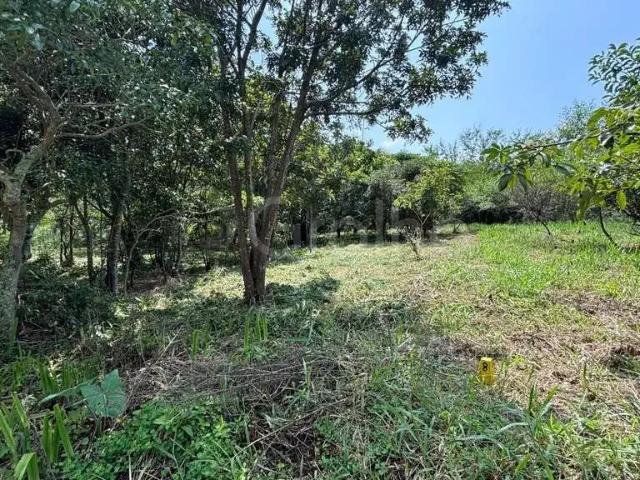 Terreno / Lote para Venda em Florianópolis/SC Açores