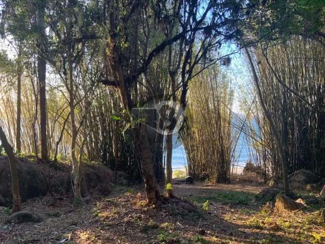 Terreno / Lote para Venda em Florianópolis/SC Daniela