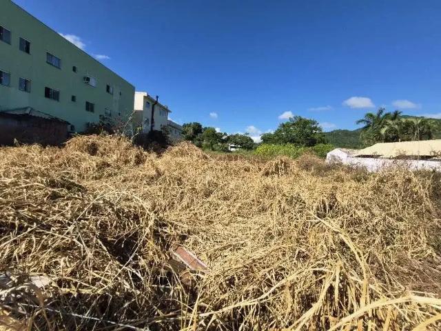 Terreno / Lote para Venda em Florianópolis/SC Ingleses