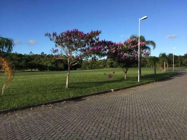 Terreno / Lote para Venda em Florianópolis/SC Ingleses do Rio Vermelho