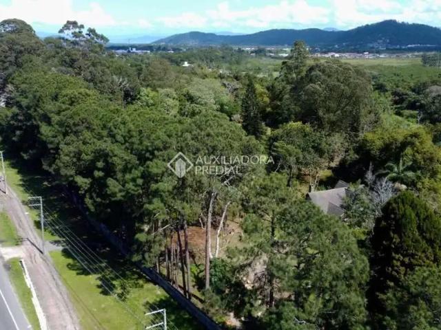 Terreno / Lote para Venda em Florianópolis/SC Ingleses do Rio Vermelho