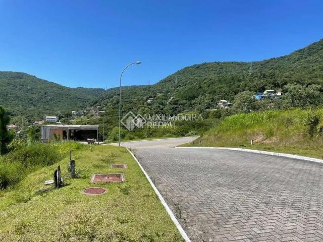 Terreno / Lote para Venda em Florianópolis/SC Itacorubi