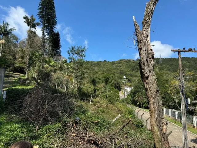 Terreno / Lote para Venda em Florianópolis/SC Itacorubi