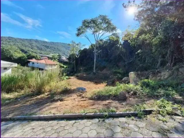 Terreno / Lote para Venda em Florianópolis/SC Itacorubi
