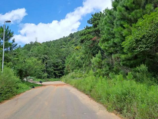 Terreno / Lote para Venda em Florianópolis/SC Itacorubi