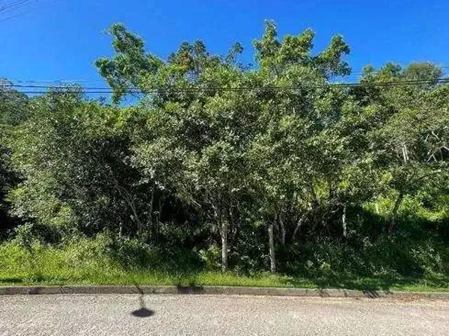 Terreno / Lote para Venda em Florianópolis/SC João Paulo