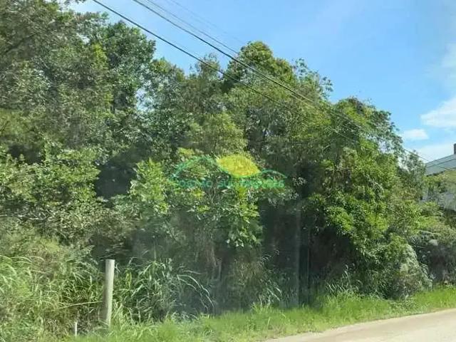 Terreno / Lote para Venda em Florianópolis/SC João Paulo