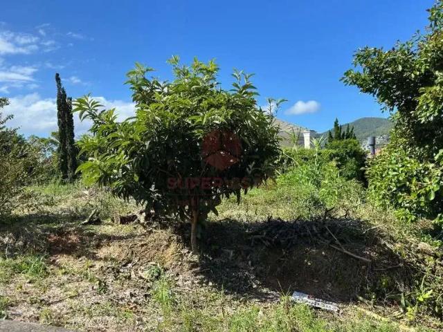 Terreno / Lote para Venda em Florianópolis/SC João Paulo