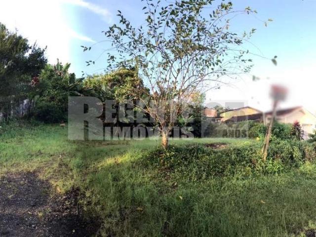Terreno / Lote para Venda em Florianópolis/SC João Paulo