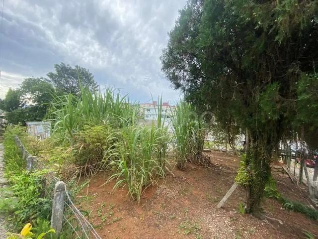 Terreno / Lote para Venda em Florianópolis/SC Jardim Atlântico