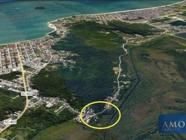 Terreno / Lote para Venda em Florianópolis/SC Jurerê Internacional