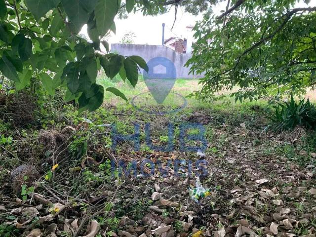 Terreno / Lote para Venda em Florianópolis/SC Jurerê Internacional