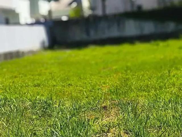 Terreno / Lote para Venda em Florianópolis/SC Jurerê Internacional