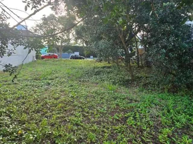 Terreno / Lote para Venda em Florianópolis/SC Jurerê Internacional