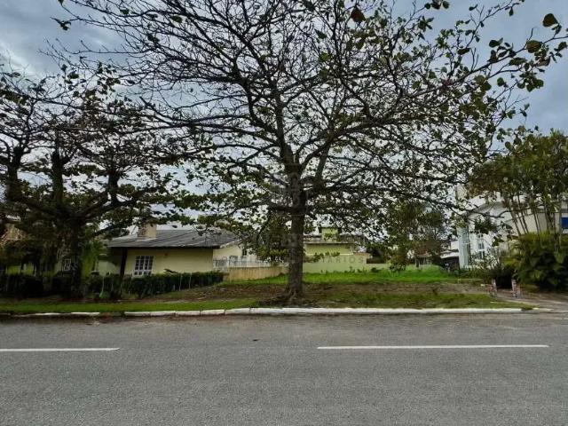 Terreno / Lote para Venda em Florianópolis/SC Jurerê Internacional