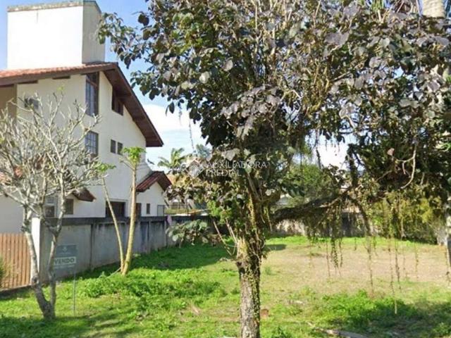 Terreno / Lote para Venda em Florianópolis/SC Jurerê Internacional