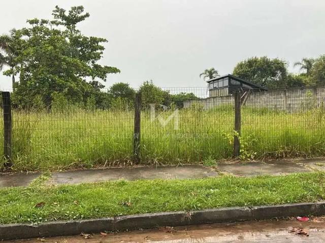 Terreno / Lote para Venda em Florianópolis/SC Jurerê Internacional