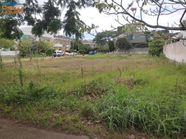 Terreno / Lote para Venda em Florianópolis/SC Jurerê Internacional