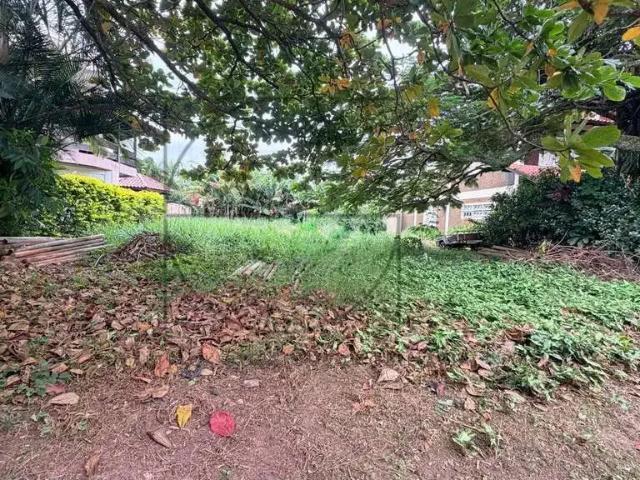 Terreno / Lote para Venda em Florianópolis/SC Jurerê Internacional