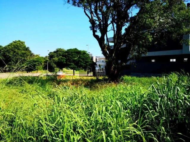 Terreno / Lote para Venda em Florianópolis/SC Jurerê Internacional