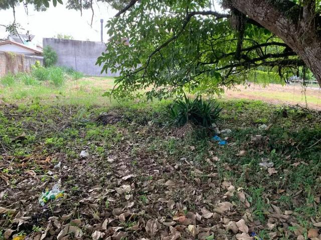 Terreno / Lote para Venda em Florianópolis/SC Jurerê Internacional