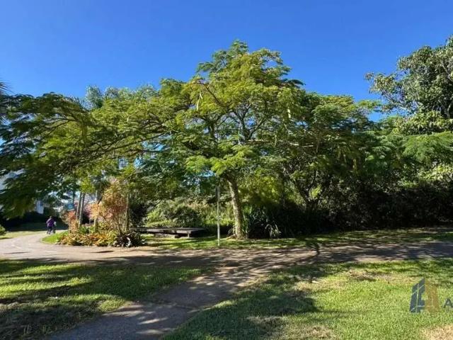 Terreno / Lote para Venda em Florianópolis/SC Jurerê Internacional