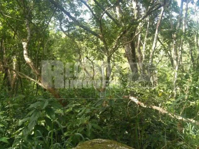 Terreno / Lote para Venda em Florianópolis/SC Jurerê