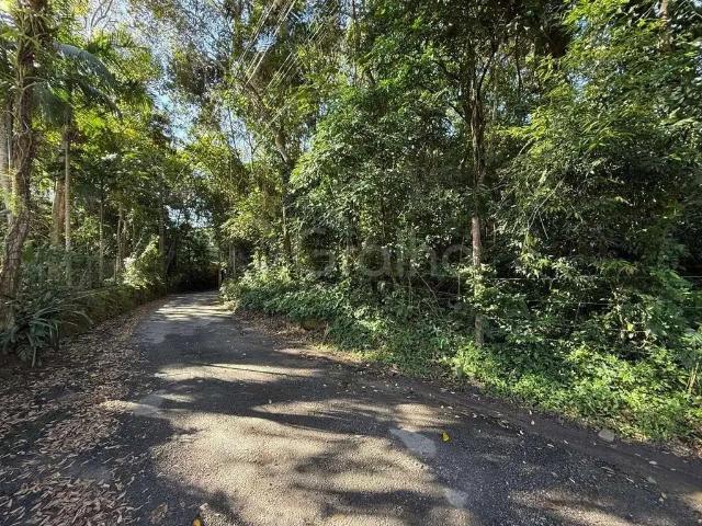 Terreno / Lote para Venda em Florianópolis/SC Lagoa da Conceição