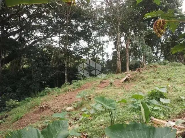 Terreno / Lote para Venda em Florianópolis/SC Lagoa da Conceição