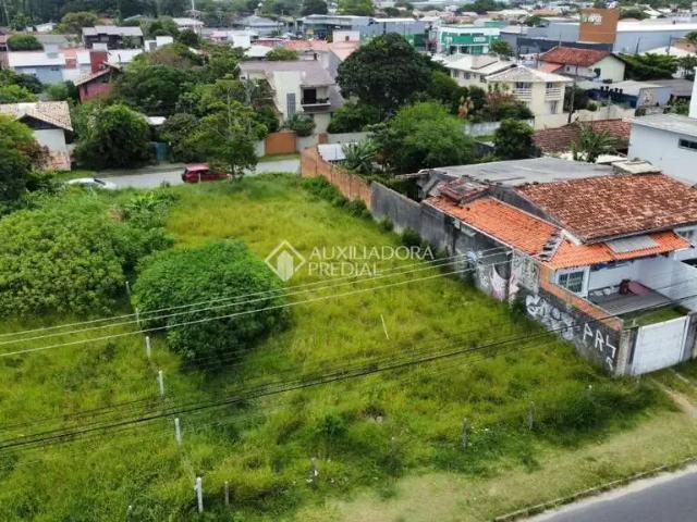 Terreno / Lote para Venda em Florianópolis/SC Morro das Pedras