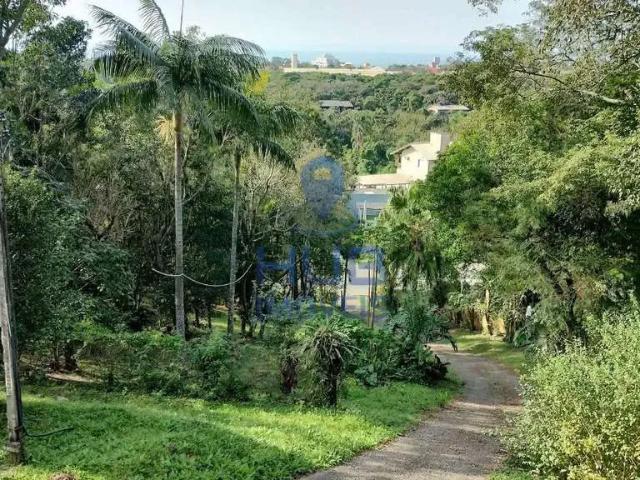 Terreno / Lote para Venda em Florianópolis/SC Morro das Pedras