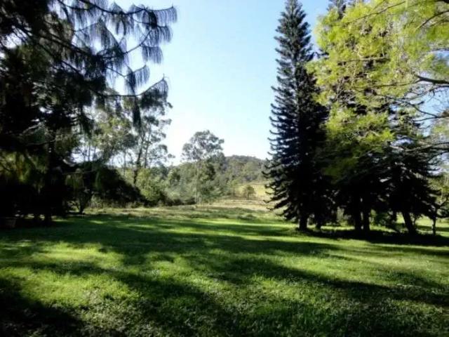 Terreno / Lote para Venda em Florianópolis/SC São João do Rio Vermelho