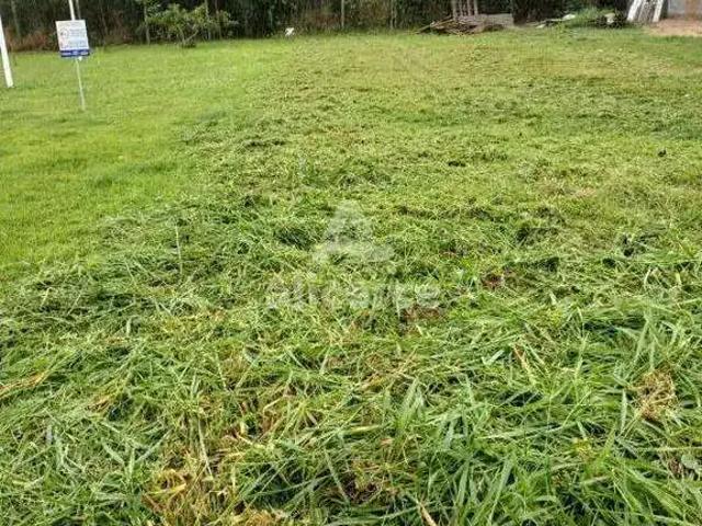 Terreno / Lote para Venda em Florianópolis/SC São João do Rio Vermelho