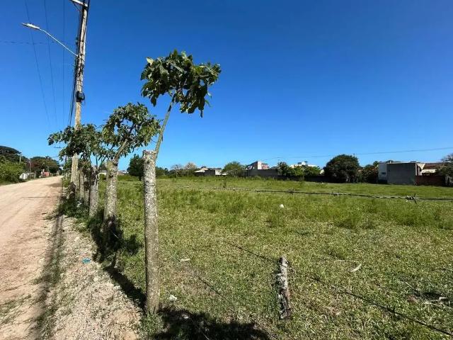 Terreno / Lote para Venda em Florianópolis/SC São João do Rio Vermelho