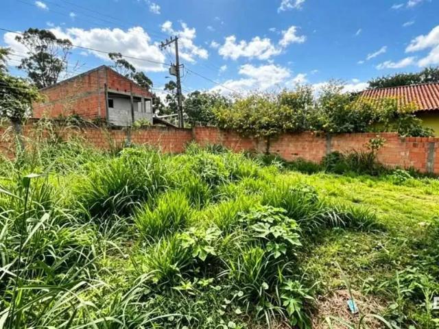 Terreno / Lote para Venda em Florianópolis/SC São João do Rio Vermelho