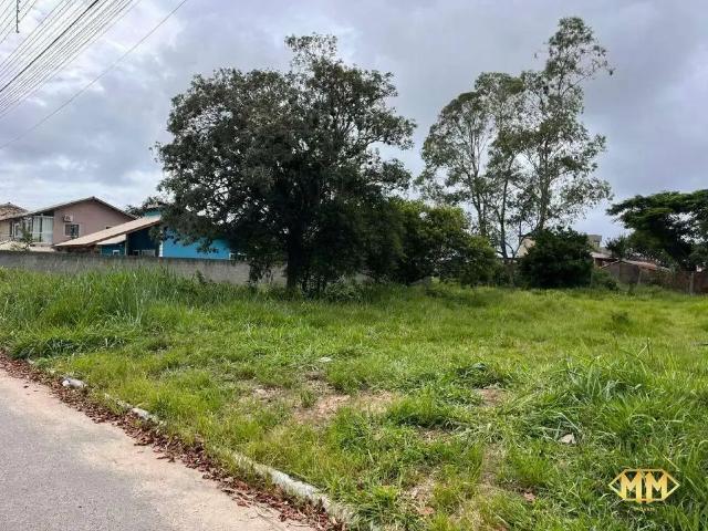 Terreno / Lote para Venda em Florianópolis/SC São João do Rio Vermelho