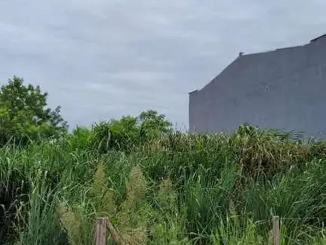 Terreno / Lote para Venda em Florianópolis/SC São João do Rio Vermelho