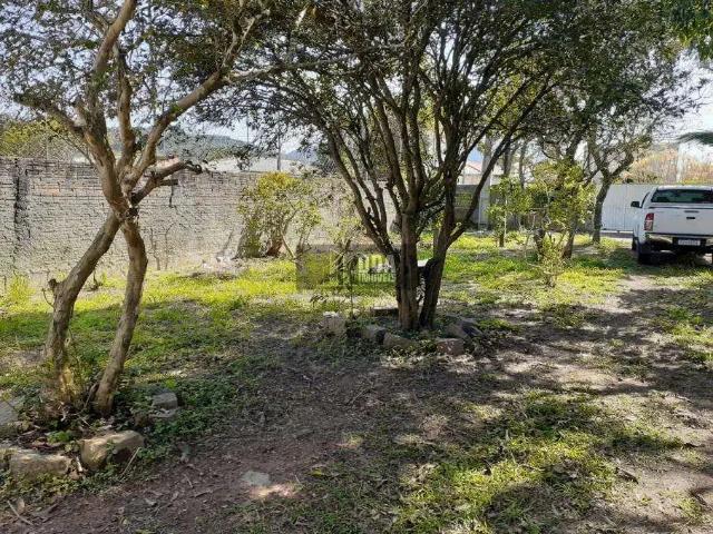 Terreno / Lote para Venda em Florianópolis/SC São João do Rio Vermelho