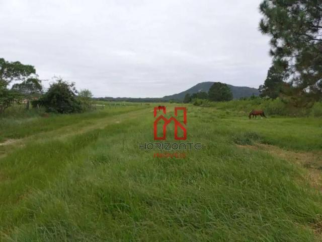 Terreno / Lote para Venda em Florianópolis/SC São João do Rio Vermelho