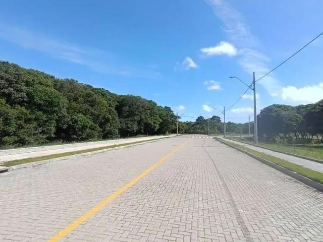 Terreno / Lote para Venda em Florianópolis/SC São João do Rio Vermelho