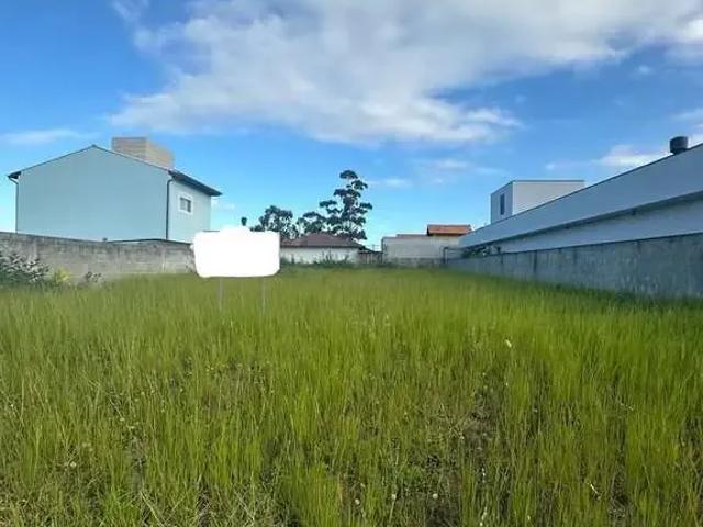 Terreno / Lote para Venda em Florianópolis/SC São João do Rio Vermelho