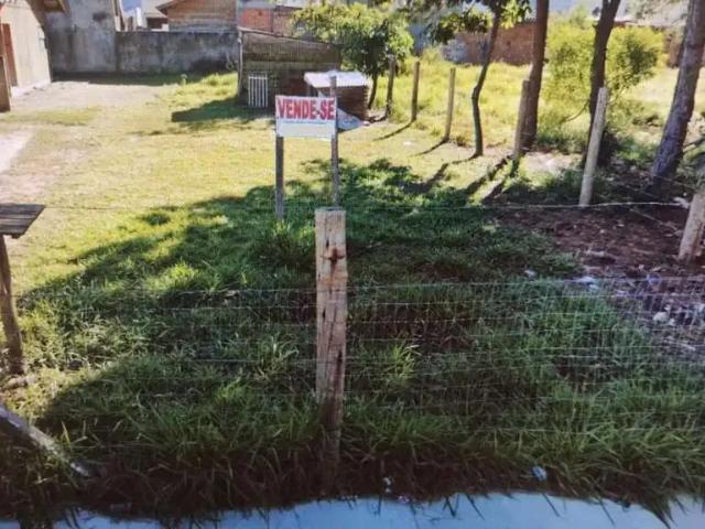 Terreno / Lote para Venda em Florianópolis/SC São João do Rio Vermelho