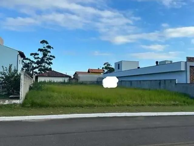 Terreno / Lote para Venda em Florianópolis/SC São João do Rio Vermelho